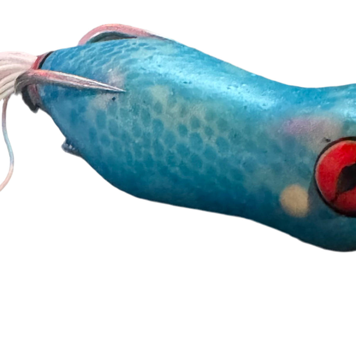 Brain Rot by SeaChell Fishing – STORMBORN Baits
